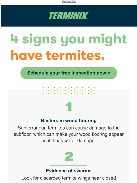 Terminix: The 4 signs of termites you may not know | Milled