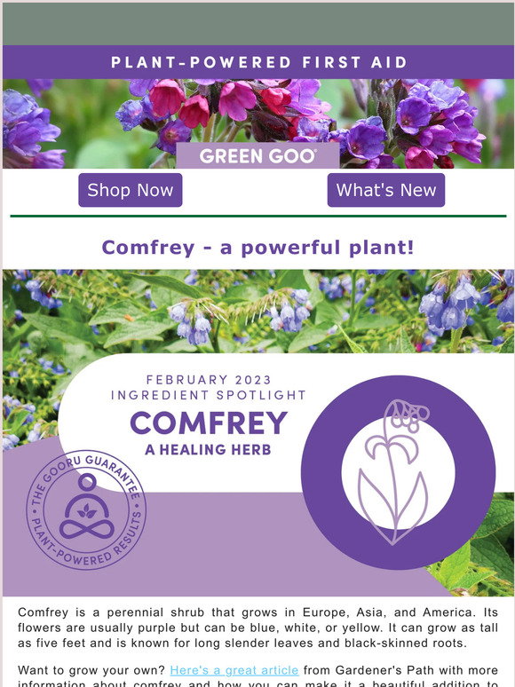 Green Goo: Our latest plant-powered feature | Milled