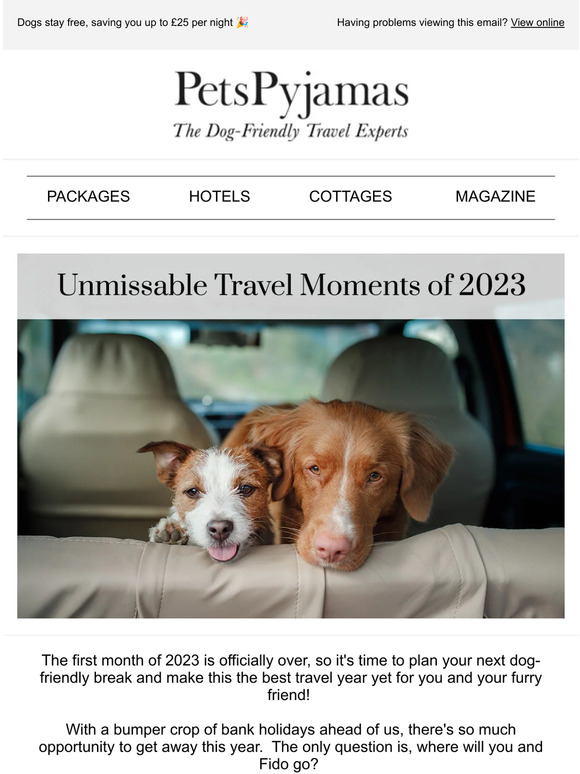 PetsPyjamas: 2023's Unmissable Travel Moments 🧳 | Milled