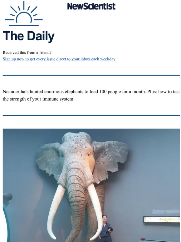 New Scientist: Neanderthals hunted elephants to feed 100 people | Milled