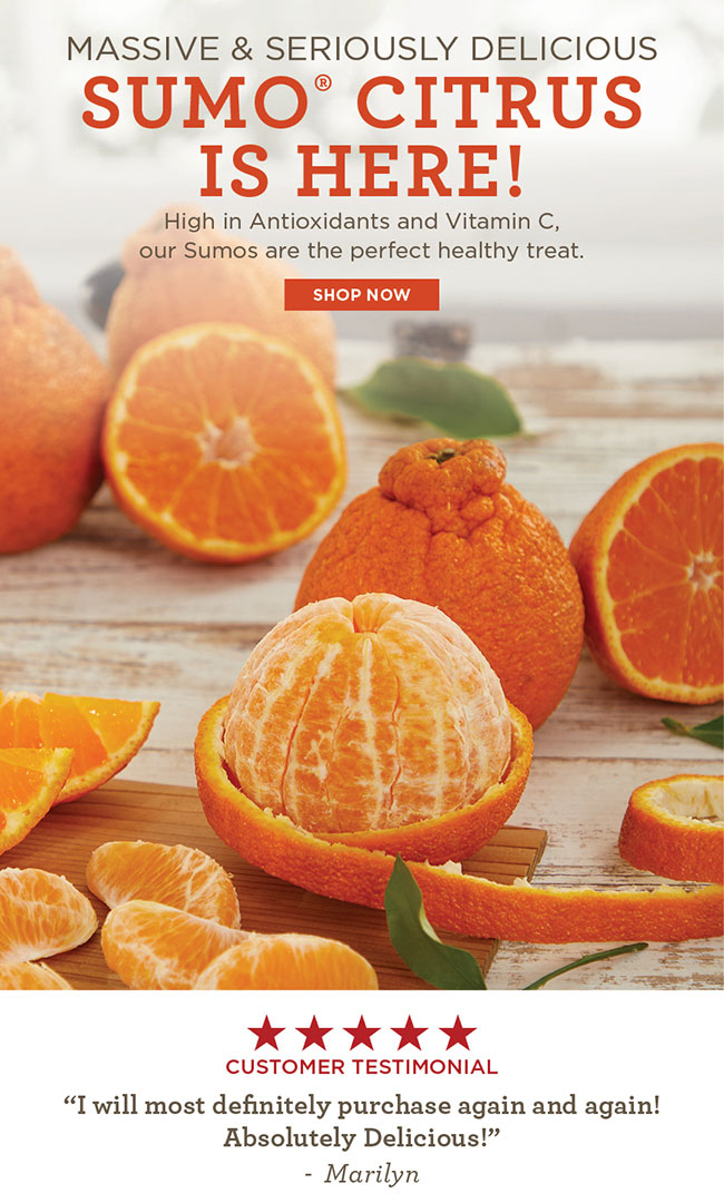 Hale Groves: Massive and Seriously Delicious Sumo Citrus is HERE! | Milled