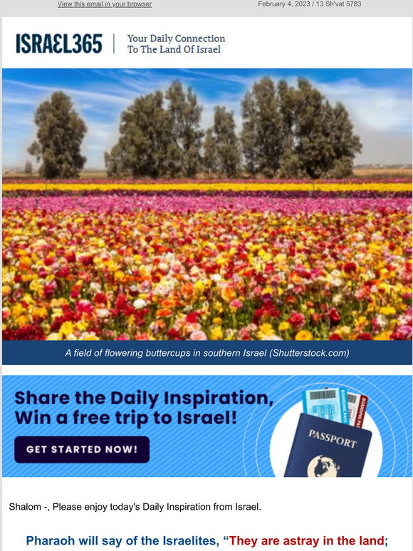 Israel365: The Baal-Zephon Plan: Egypt’s final lesson | Milled