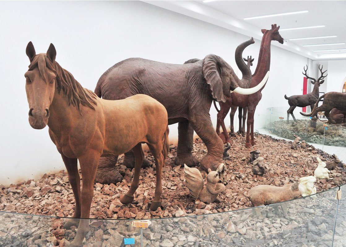 National Geographic: Chocolate facts and photos kids will love | Milled