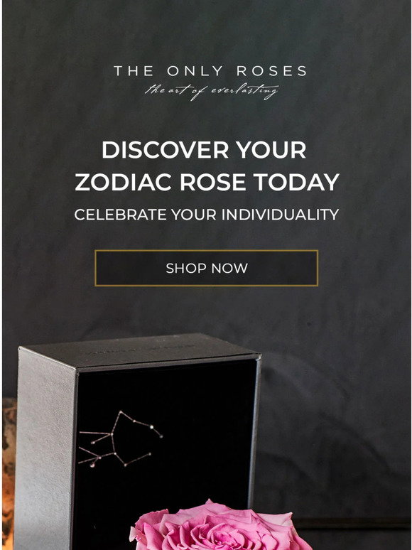 The Only Roses: Our amazing zodiac rose collection | Milled
