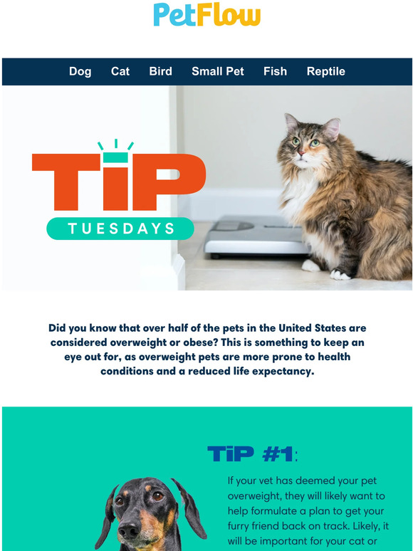 PetFlow: Tips for your pet’s weight + a way to save! | Milled