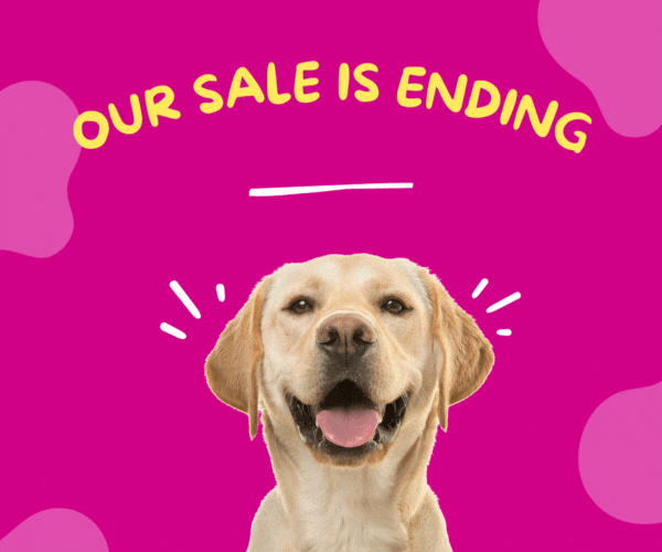 Jax n Daisy: Enjoy a Doggy Spa Day at Home with 20% Off | Milled