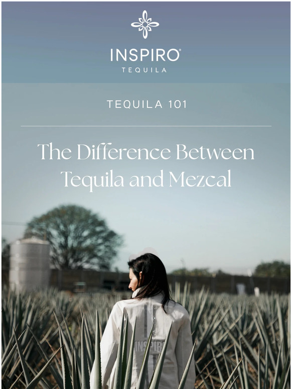 Inspiro Tequila: Tequila 101: The Difference Between Tequila and Mezcal | Milled