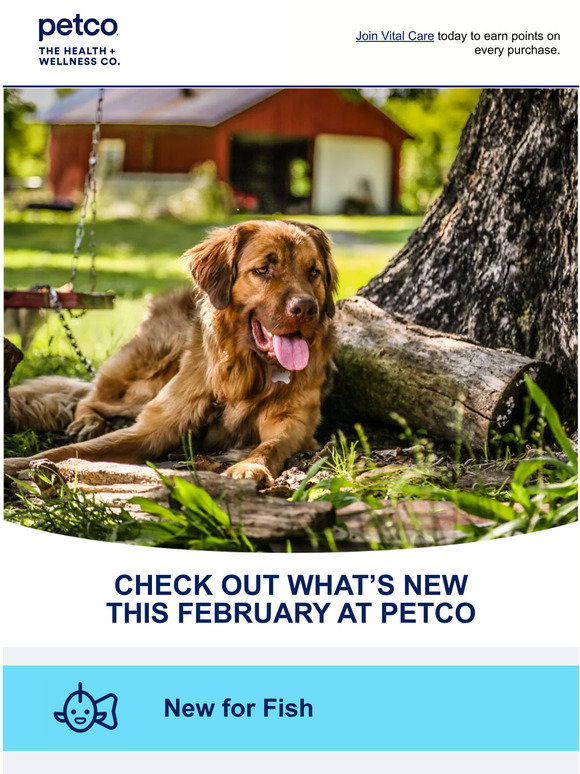 Petco: New February picks have arrived! | Milled