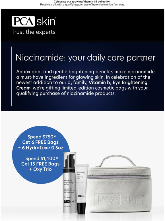 PCA Skin: Loving Niacinamide? Get a FREE Limited Edition Skincare Bag ...