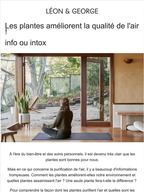 Leon & George: Dr plante - Les plantes purifient-elles vraiment l'air ...