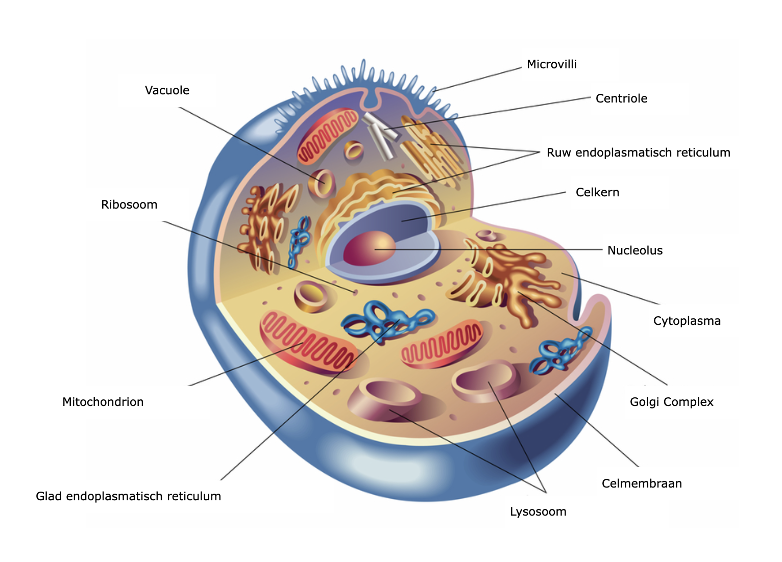 FreeChoice: 🧬 Je bent gezond wanneer elke lichaamscel gezond is | Milled