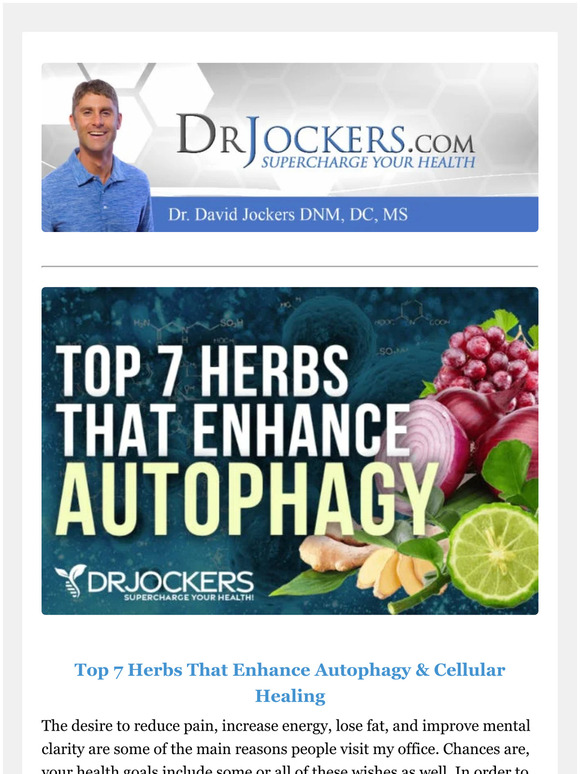 Dr. Jockers: Top 7 Herbs for Autophagy and Deep Cellular Healing | Milled