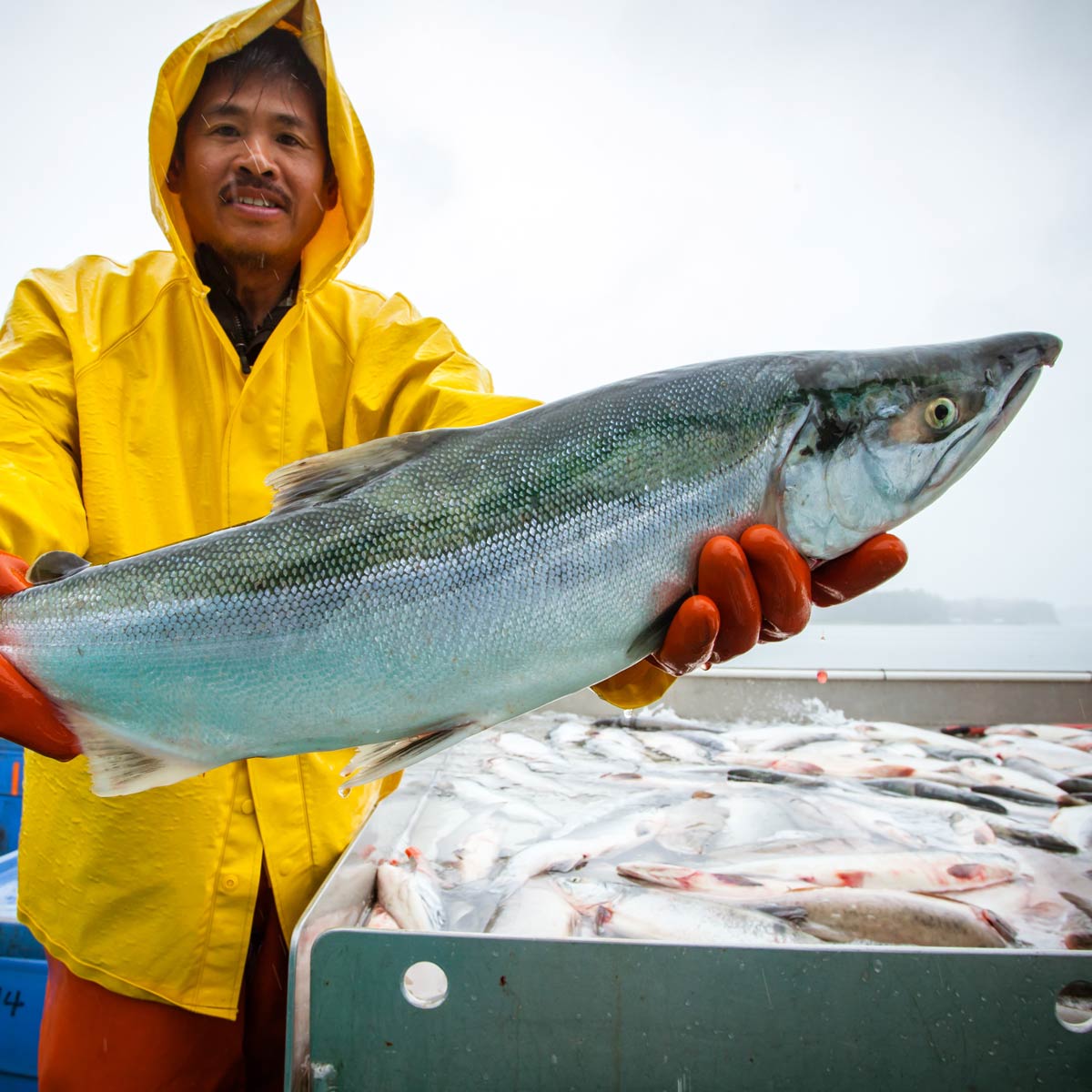 Patagonia Provisions: Rare find: Free Salmon | Milled