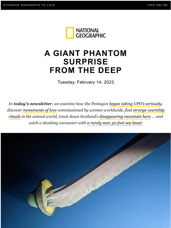 National Geographic: Face to face with a rare ‘monster’ off Antarctica ...