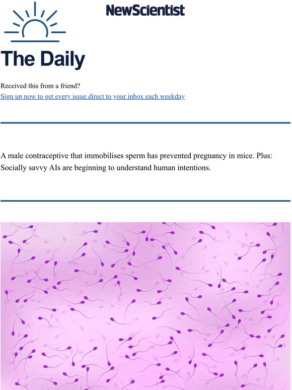 New Scientist: Male birth control drug works in mice | Milled