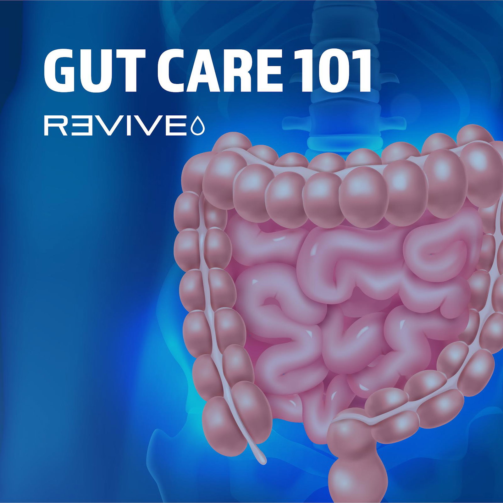 Revive Supplements: 4 Daily Habits For Optimal Gut Health 🔢 | Milled