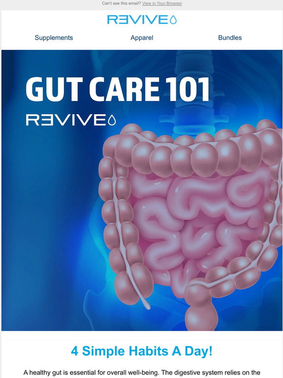 Revive Supplements: 4 Daily Habits For Optimal Gut Health 🔢 | Milled