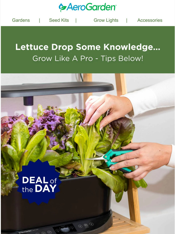 AeroGarden: Lettuce Drop PRICES and Some Knowledge… 🥬😉 | Milled