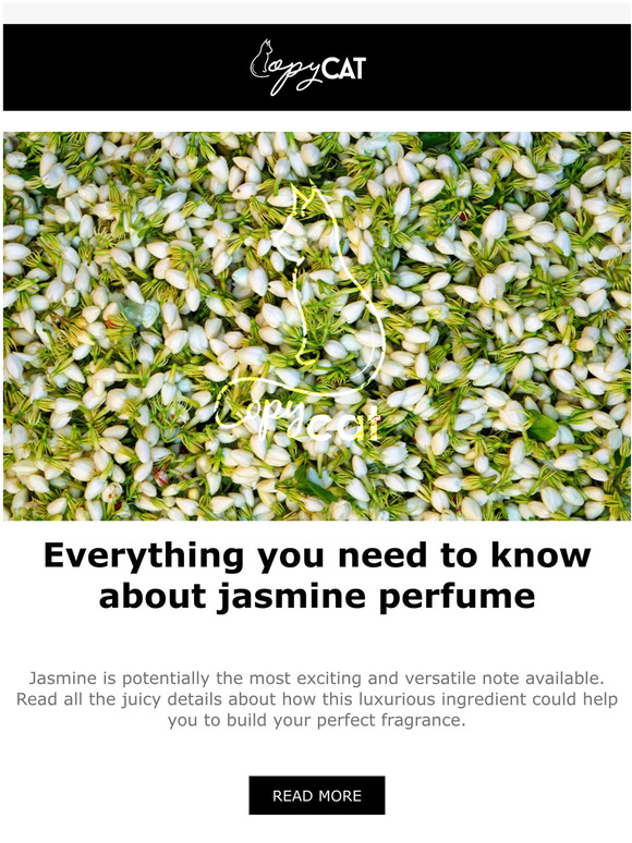 Copycat Fragrances: Why Do We Love Jasmine Perfume? | Milled