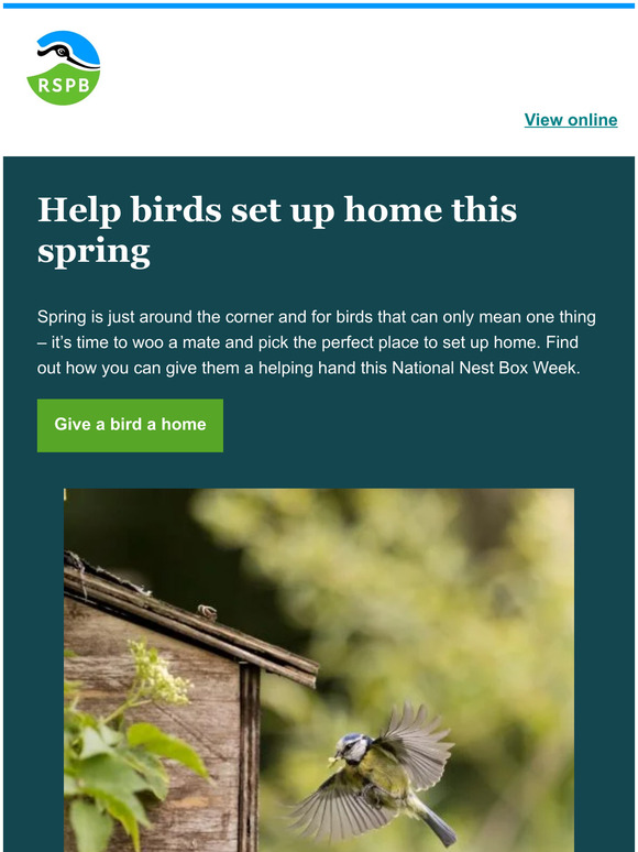 RSPB: Your ultimate guide to nest boxes | Milled
