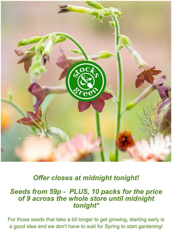 Stocks and Green: 10 packs for the price of 9, ends midnight! Packs ...