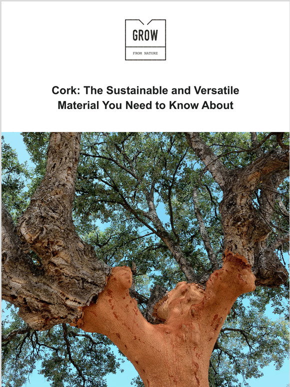 Grow From Nature: Cork: The Sustainable and Versatile Material You Need ...