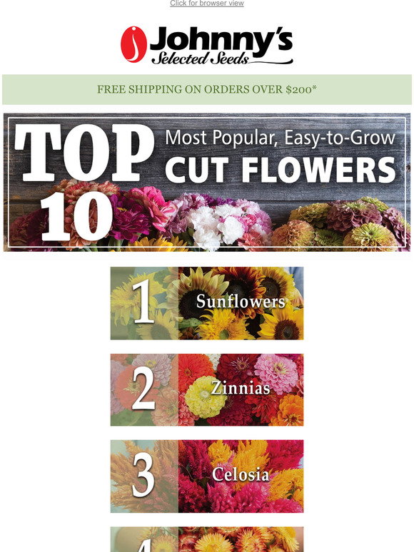 Johnny's Selected Seeds: Top 10 Popular Cut-Flower Crops | Milled