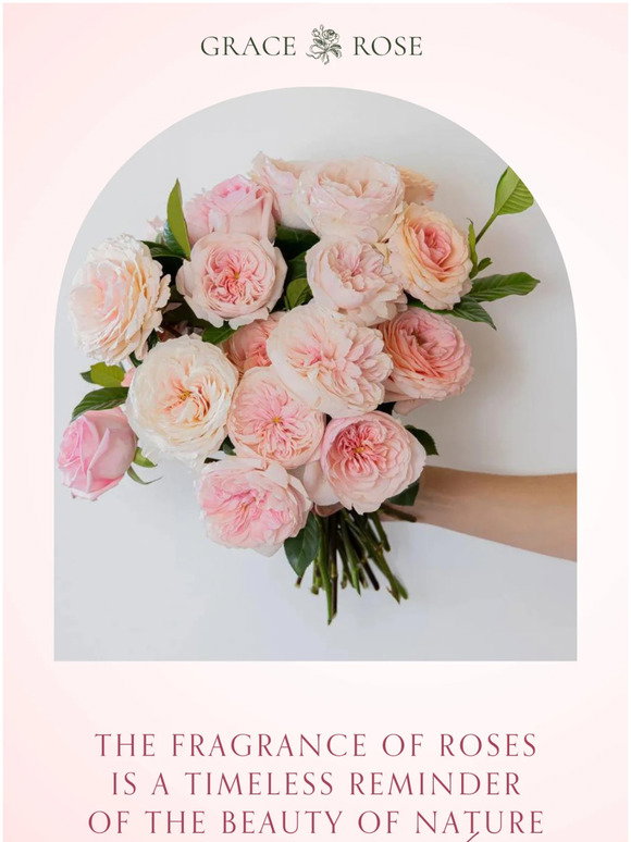 GRACE ROSE: The Enchanting Fragrance of Roses | Milled
