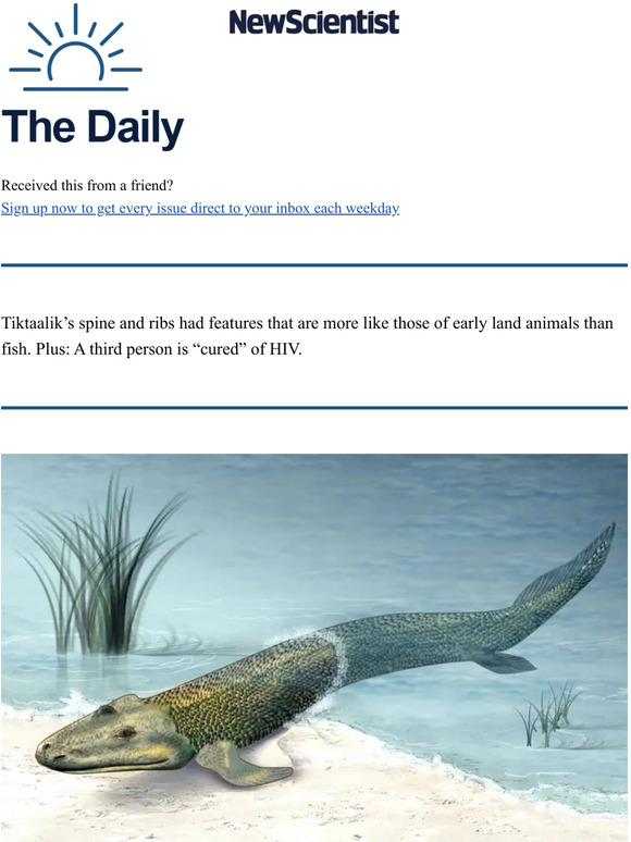 New Scientist: Spine of early crawling fish offers evolutionary clues ...