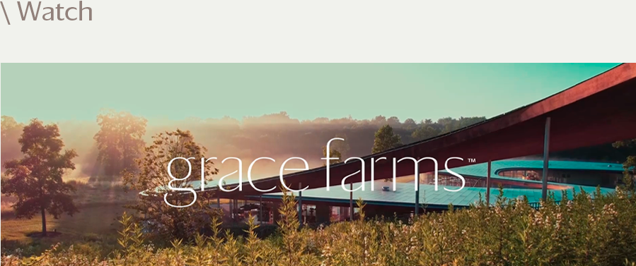 Grace Farms Foods: Meet our new Wellness Teas line | Milled