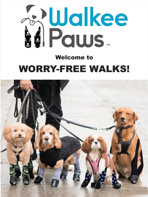 Walkee Paws: Before you grab your leash… | Milled