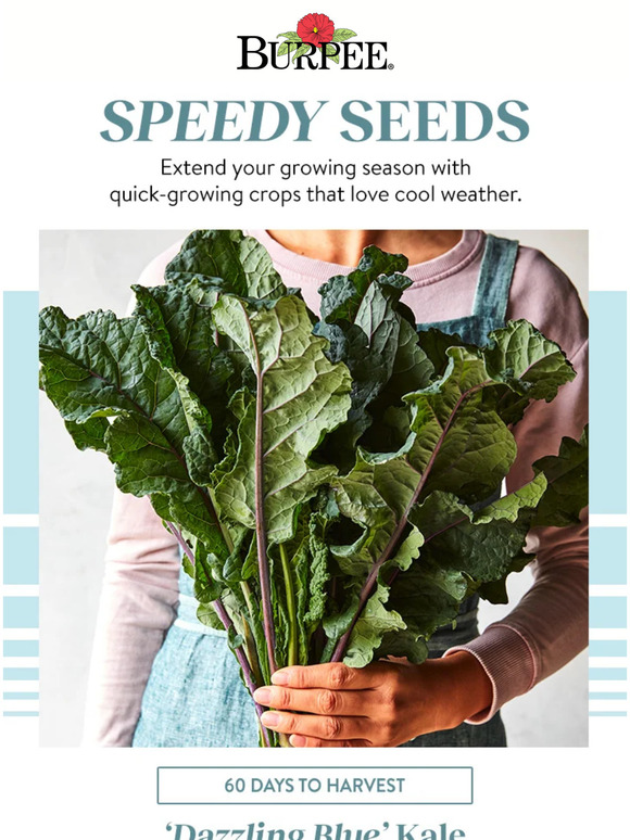 Burpee: Quick-growing varieties for cool weather | Milled