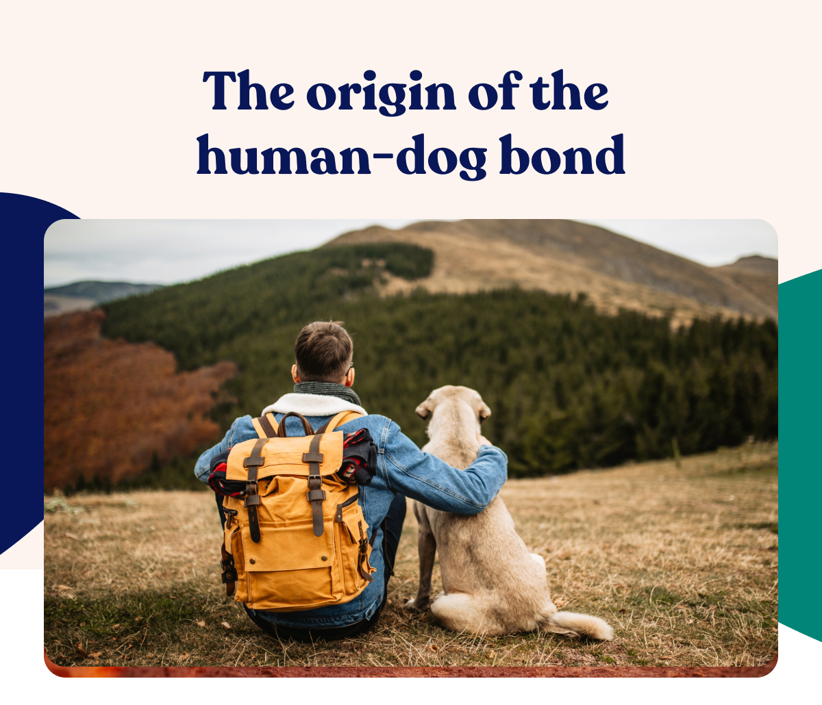 Paws: Why is the human-dog bond so strong? | Milled