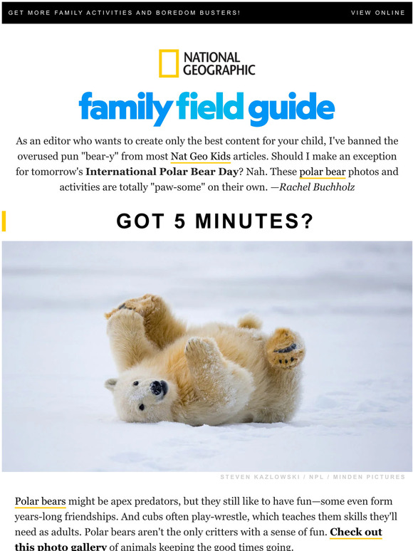 National Geographic: Meet the polar bears! Show kids these photos and ...