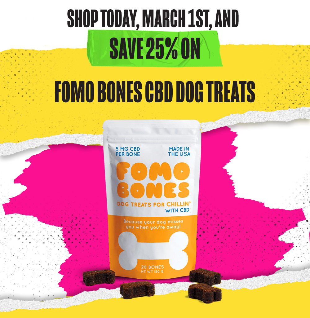 Sunday Scaries 25 Off Fomo Bones For National Corgi Day 🐕 Milled