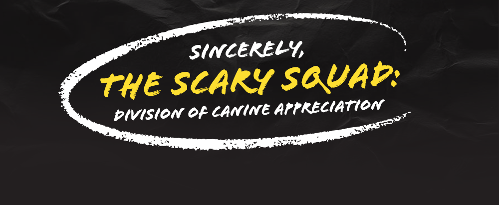 Sunday Scaries 25 Off Fomo Bones For National Corgi Day 🐕 Milled