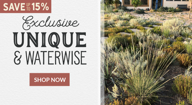 High Country Gardens: Unique & Exclusive Plants For Your Waterwise ...
