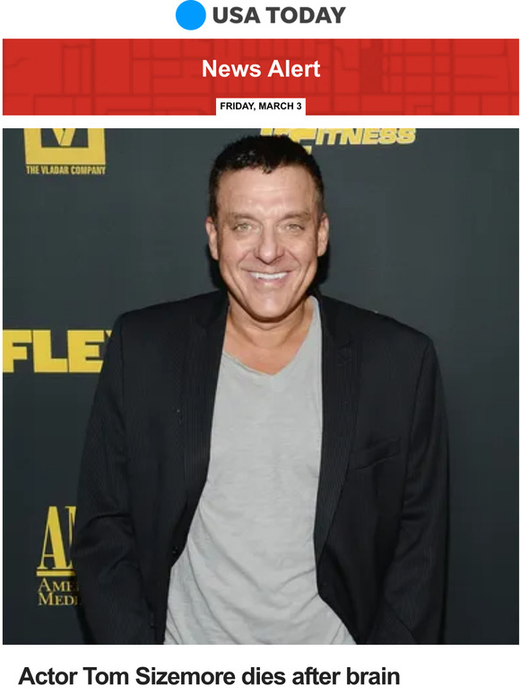 USA TODAY: News alert: Actor Tom Sizemore dies after brain aneurysm ...