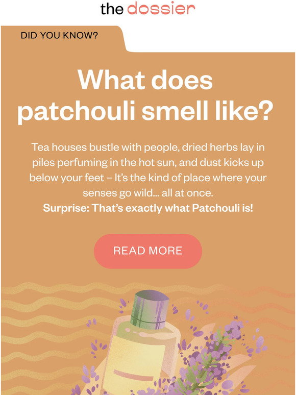Dossier: The most controversial scent ever?! 😱 | Milled