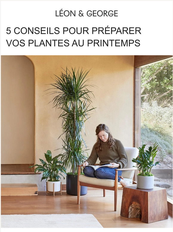 Leon & George: 5 conseils pour preparer vos plantes au printemps🪴 | Milled