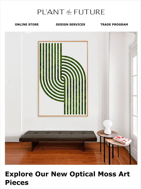 Plant The Future: Explore our New Optical Moss Art Pieces 🌿 | Milled
