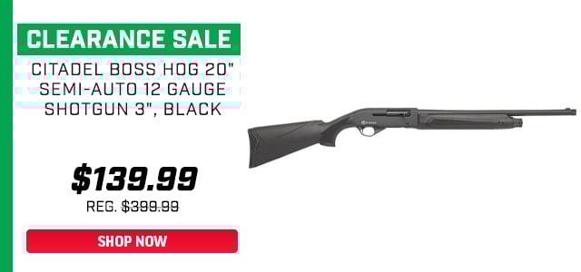 Palmetto State Armory: New Dagger Bundle! | PSA Dagger SW1 RMR Pistol W ...