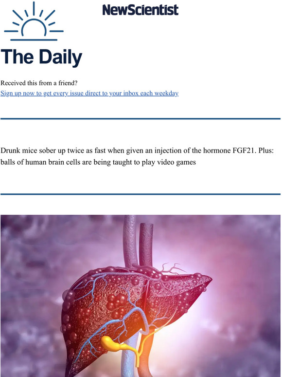 New Scientist: Drunk mice sober up faster after hormone injection | Milled