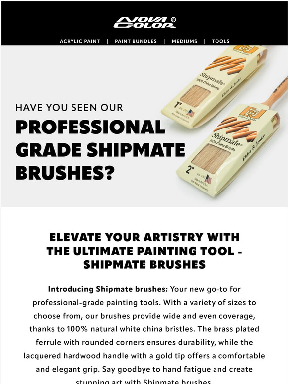 Nova Color Artists Acrylic Paint: Experience Shipmate Brushes 🖌 | Milled