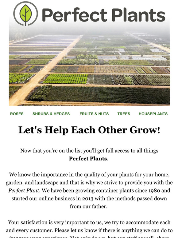 Perfect Plants Nursery: —, Welcome to Perfect Plants! 🌿🌰🌵🌸🍃 | Milled