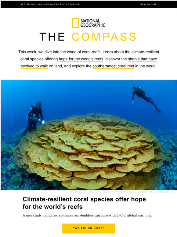 National Geographic: The Compass: Climate-resilient coral offers hope ...