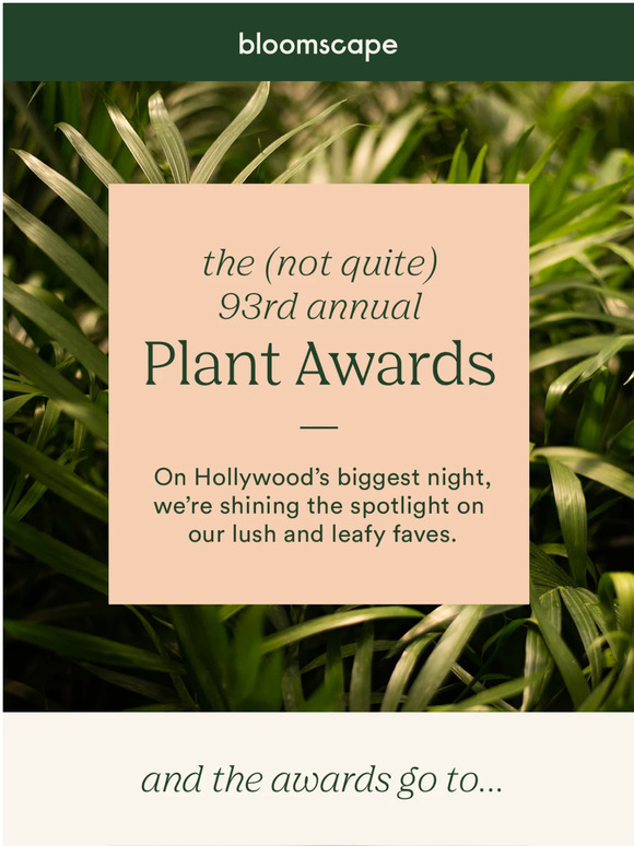 Bloomscape: The (not quite) 93rd Annual Plant Awards | Milled