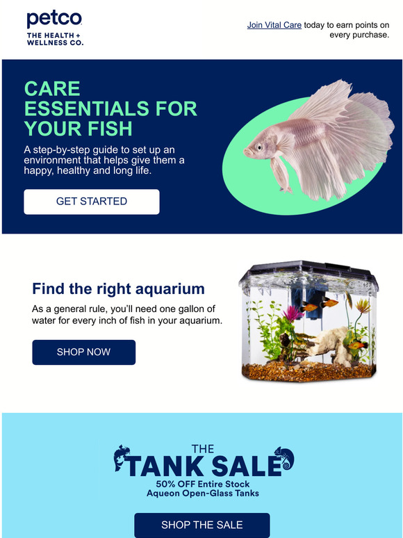 Petco: Fish Care 101: Get started here! 🐠 | Milled