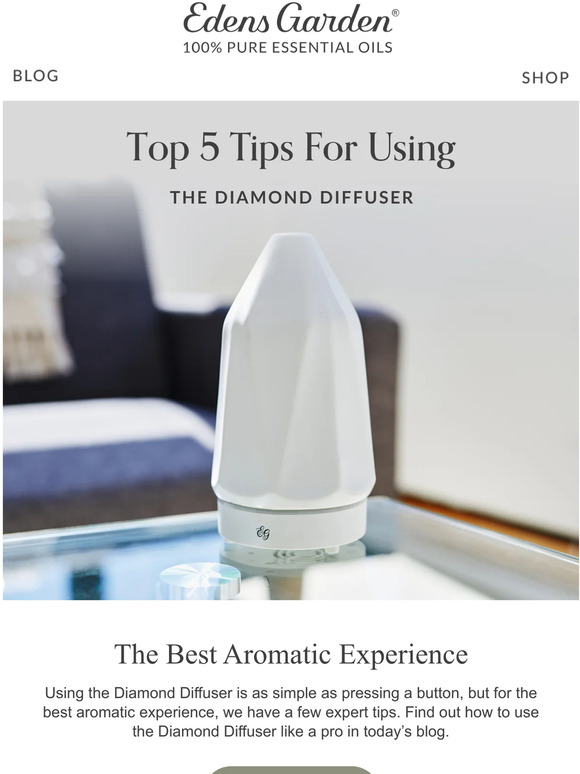 Edens Garden: Here’s How To Use The Best Diffuser of 2023 | Milled