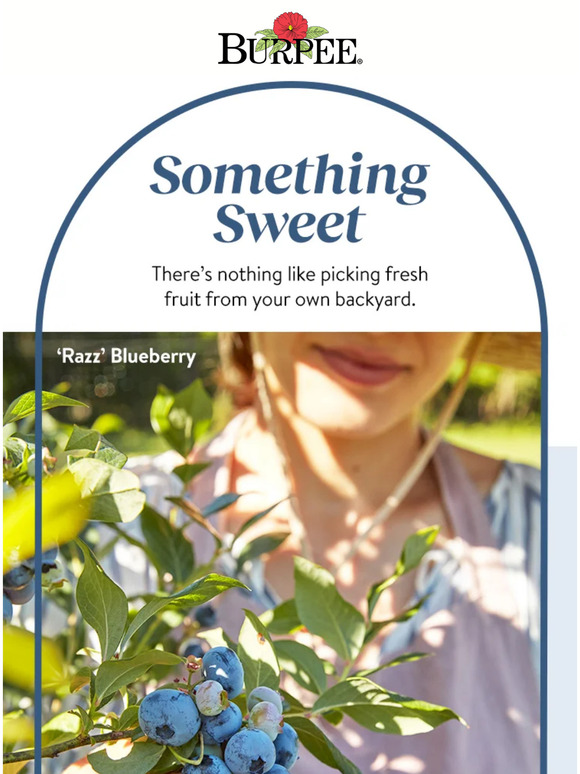 Burpee: Juicy fruit 🍓 | Milled